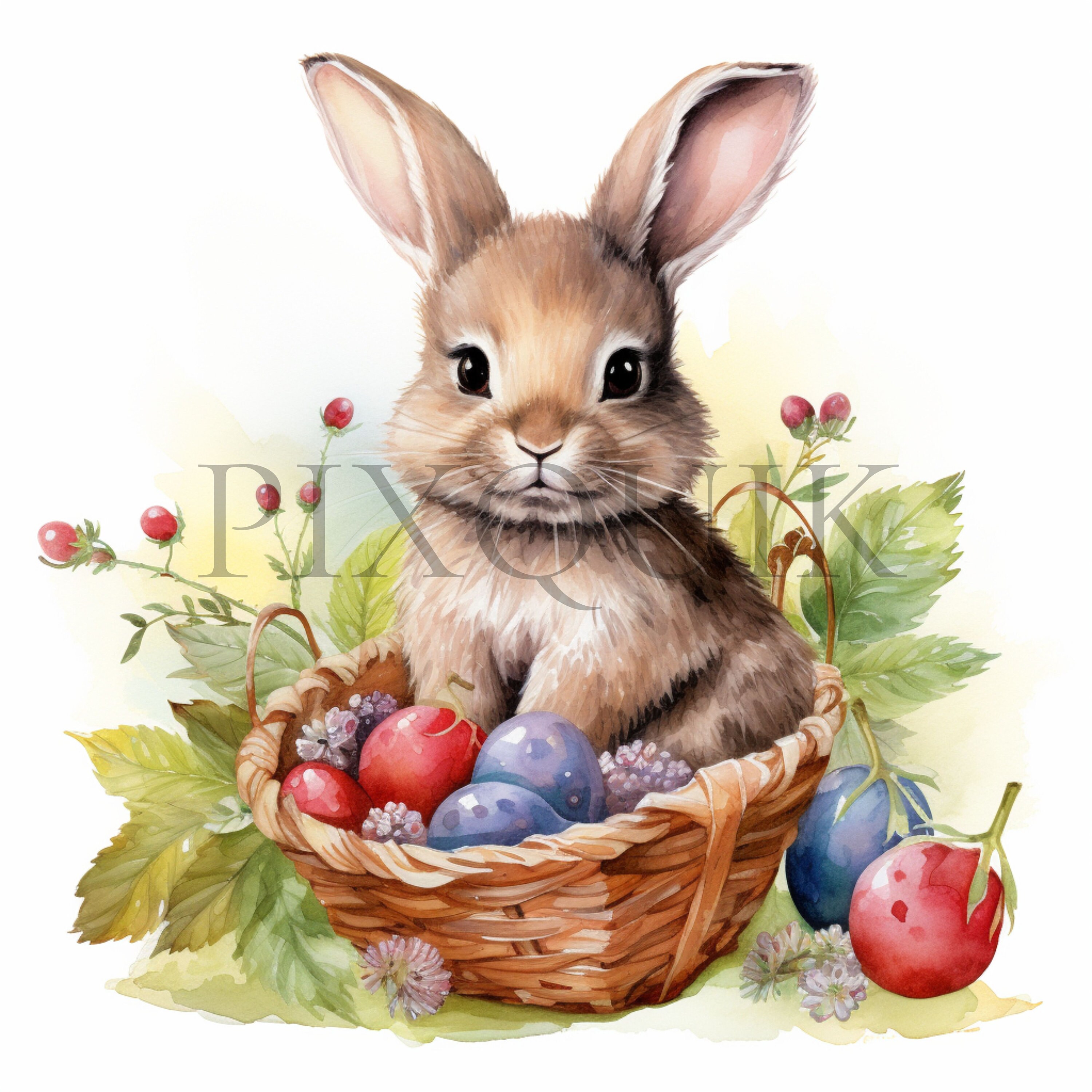 Watercolor Easter Bunny Clipart – Spring Scrapbooking (jpgs, Instant ...