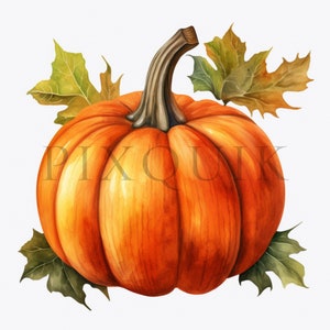Autumn Pumpkin Clipart | 10 High Quality Jpgs | Instant Digital ...