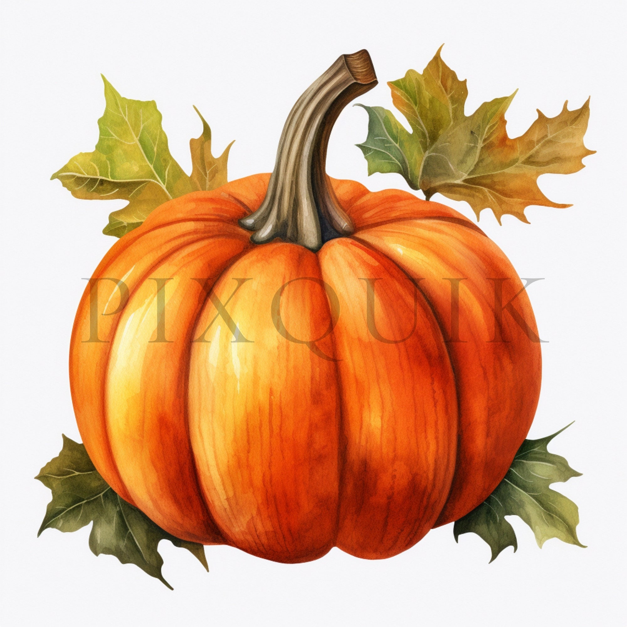 Autumn Pumpkin Clipart | Fall Harvest JPG Images (digital Download) - Etsy