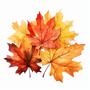 Autumn Leaves Clipart - 10 High Quality Jpgs | Digital Download ...