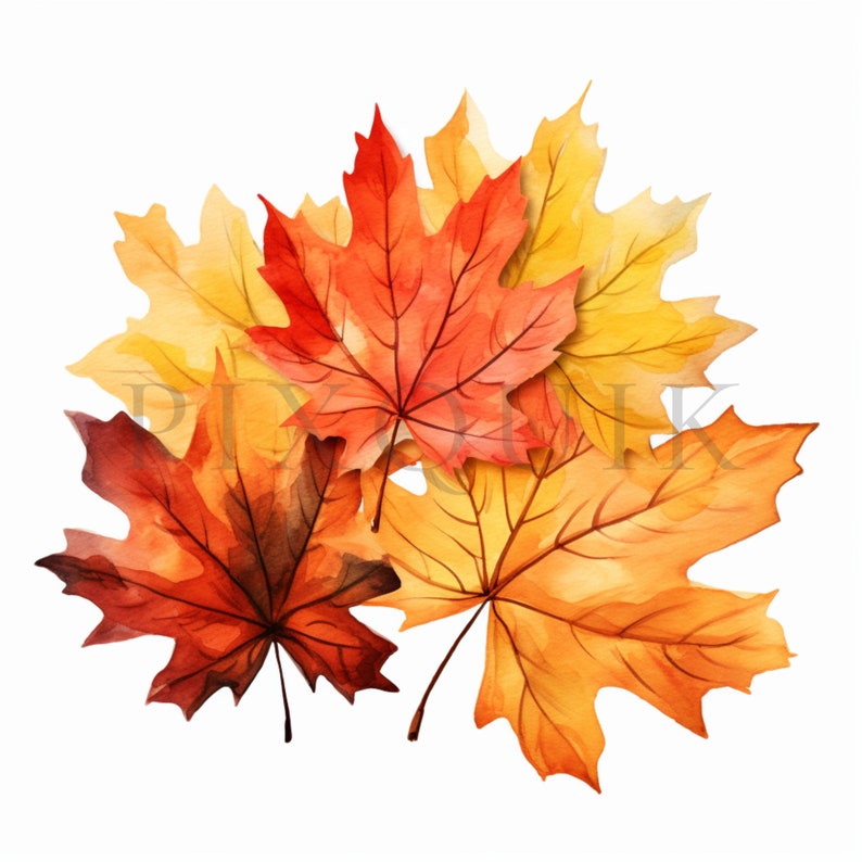 Autumn Leaves Clipart 10 High Quality Jpgs Digital Download Autumn ...