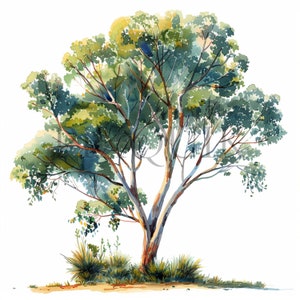 Gum Tree Clipart Tree Clipart 10 High Quality JPG Gum Tree Illustration ...