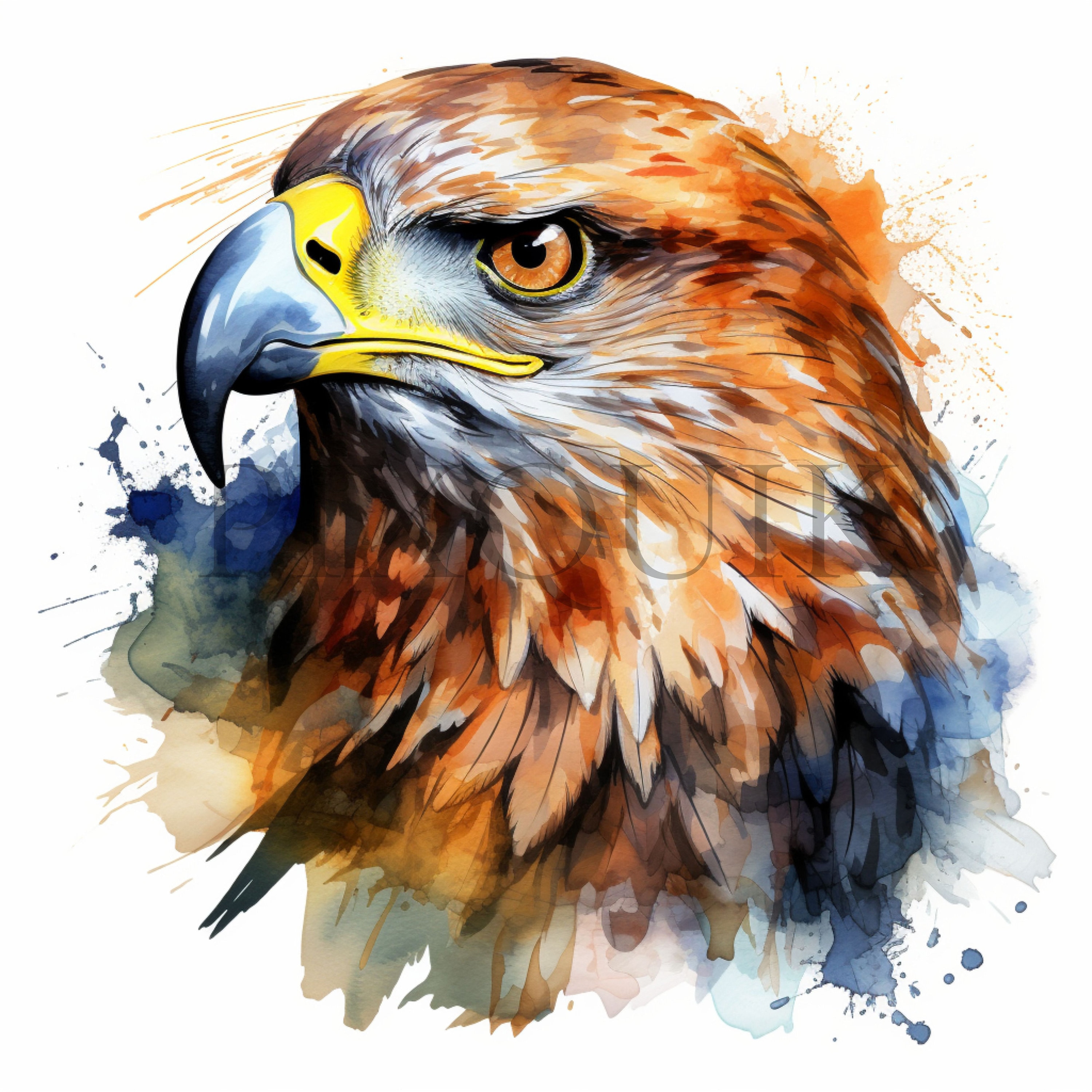 Watercolor Eagle Clipart 10 High-quality Jpgs Digital Download Eagle ...