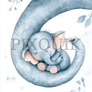 Sleeping Elephant Baby Boy Clipart | 21 High Quality Clipart | Adorable ...