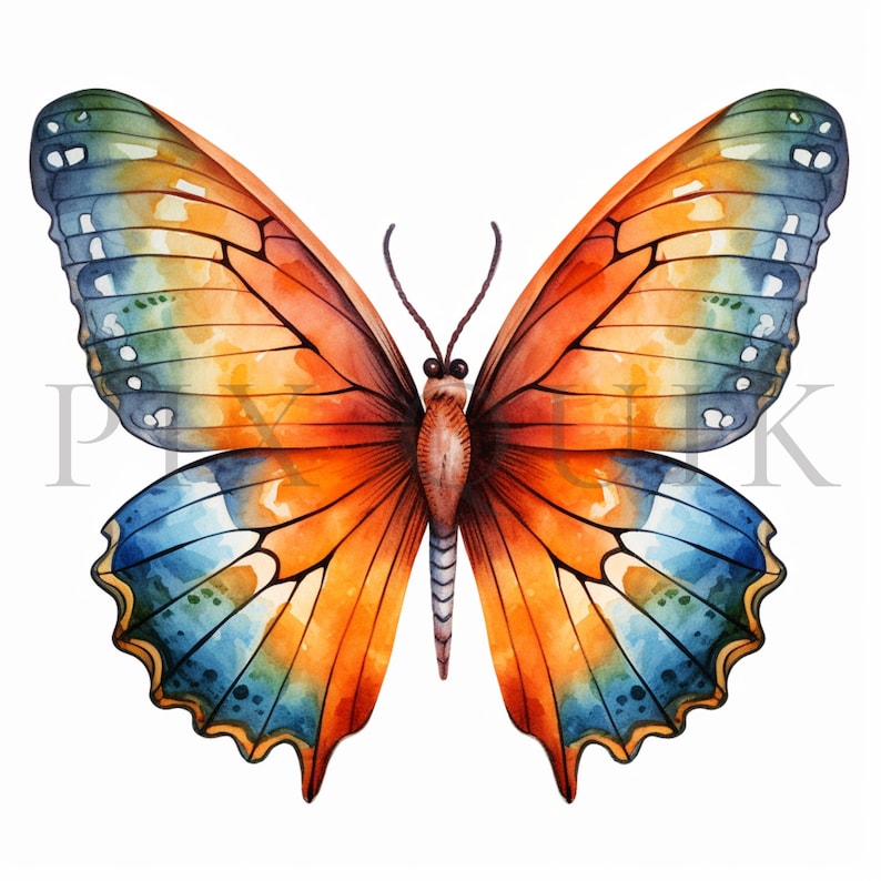 Butterfly Clipart 10 High Quality Jpgs Printable Butterfly Clipart ...