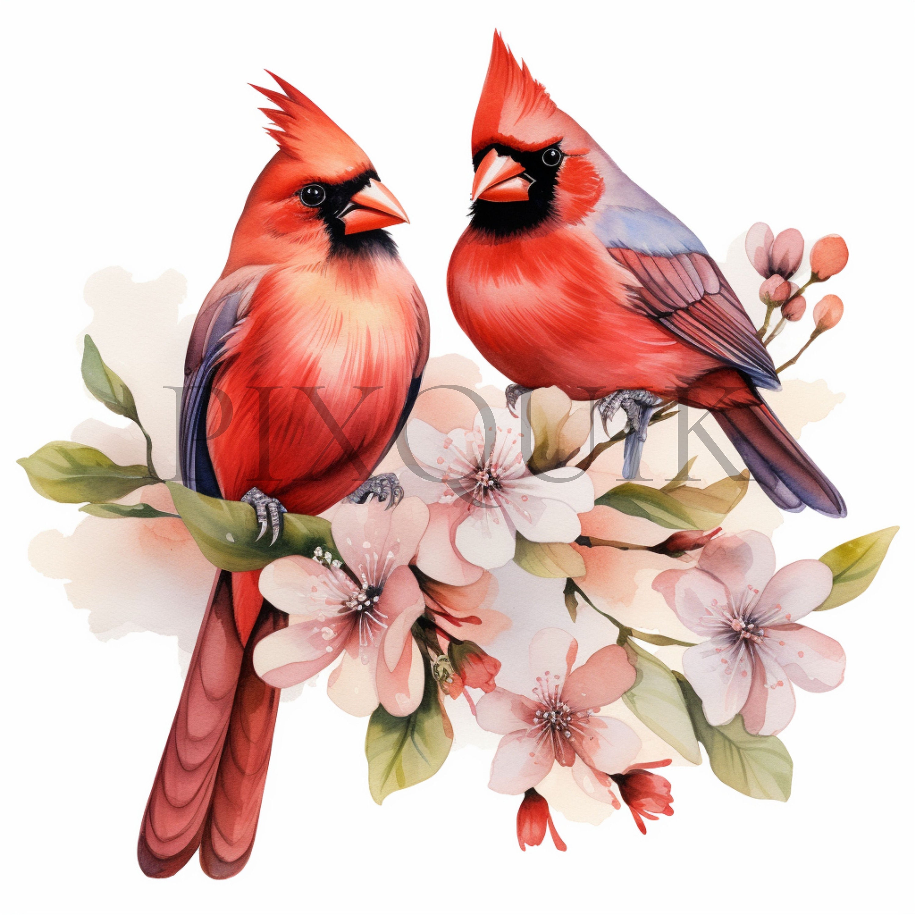 Cardinal Friends Flowers Clipart | 10 High Quality Jpgs | Commercial ...
