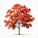 Fall Maple Tree Clipart | Red Autumn Leaves (digital Download) - Etsy