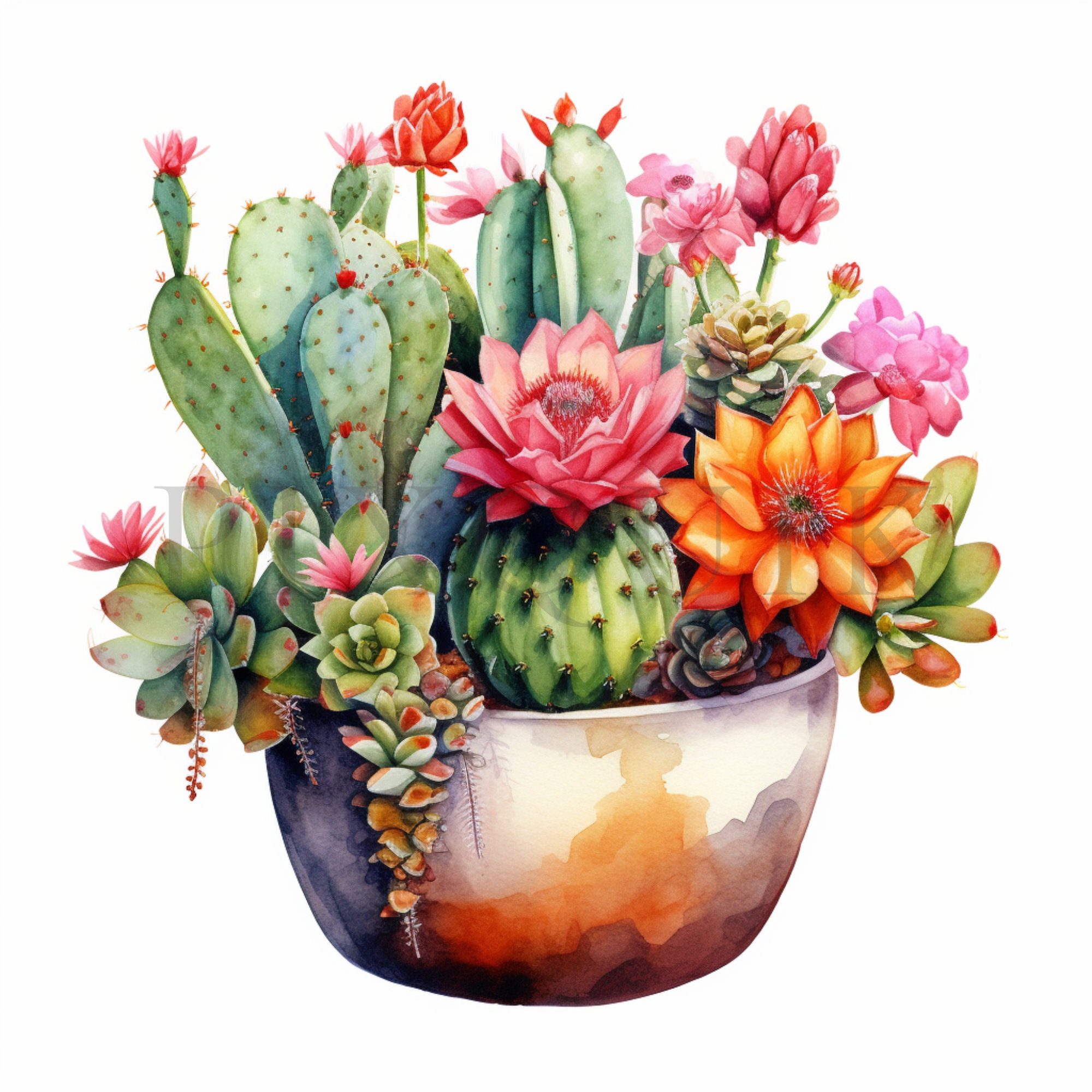 Watercolor Cactus Clipart Set – High-quality Jpgs, Commercial Use ...