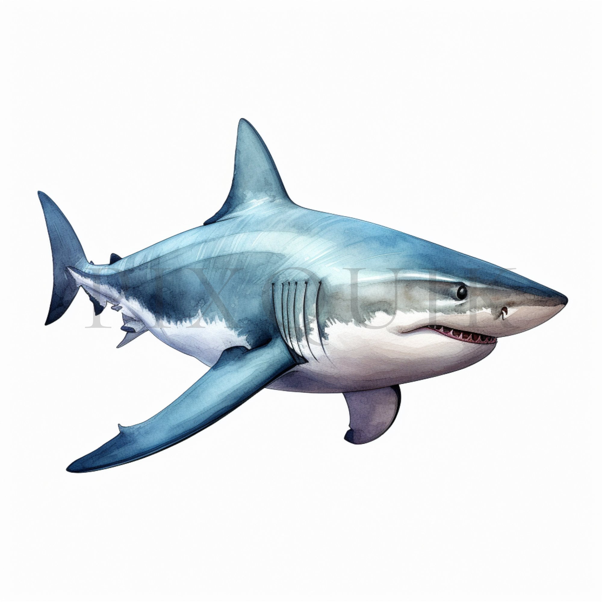 Shark Clipart 10 High Quality Jpgs Watercolor Shark Clipart Whale Shark ...