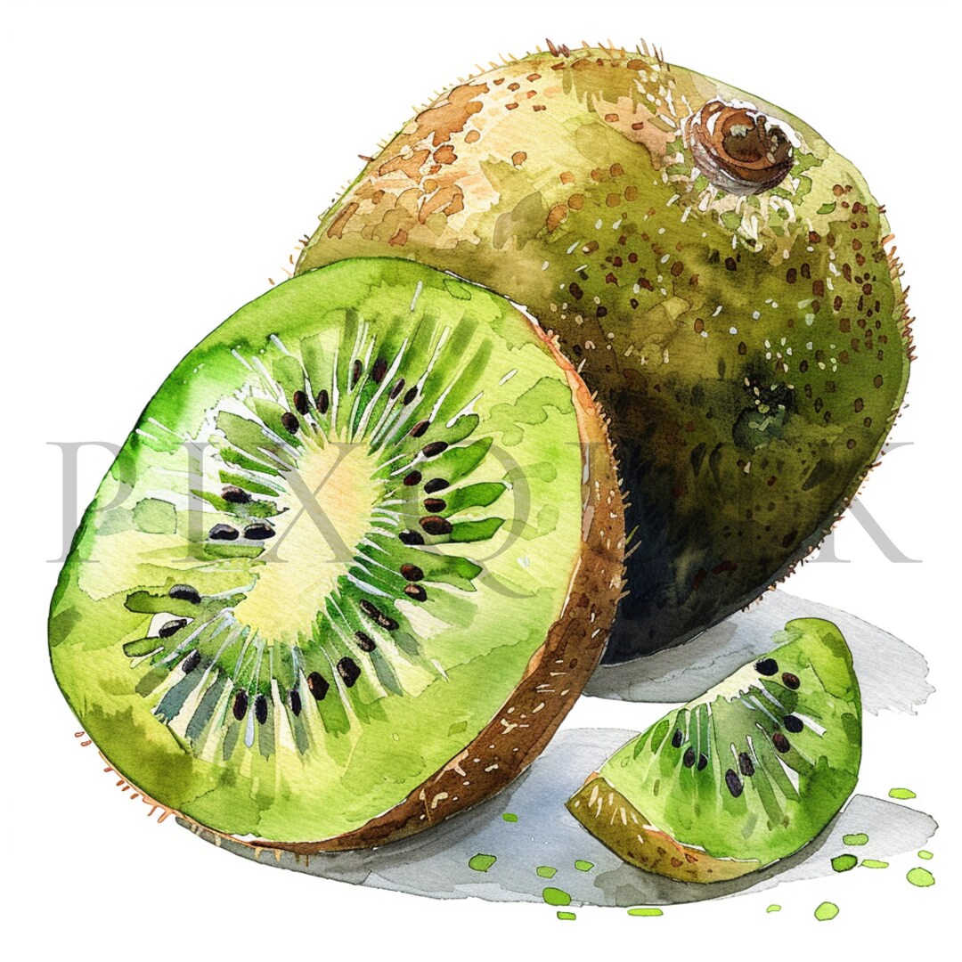 Watercolor Kiwi Clipart | 10 High Quality Jpgs | Digital Download ...