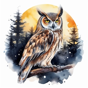 Owl Clipart Set | Woodland Animal Jpgs (digital Download) - Etsy
