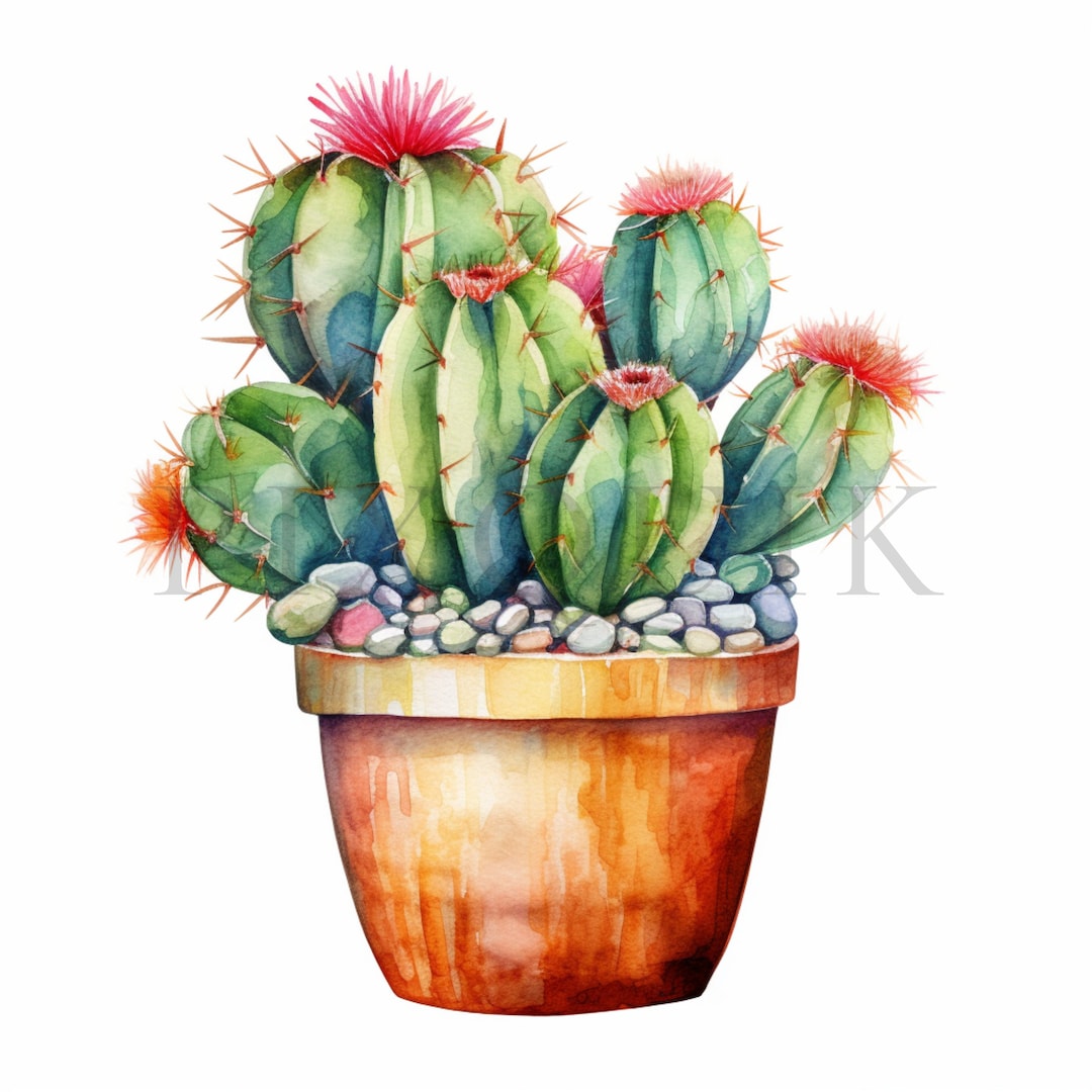 Watercolor Cactus Clipart Set – High-quality Jpgs, Commercial Use ...