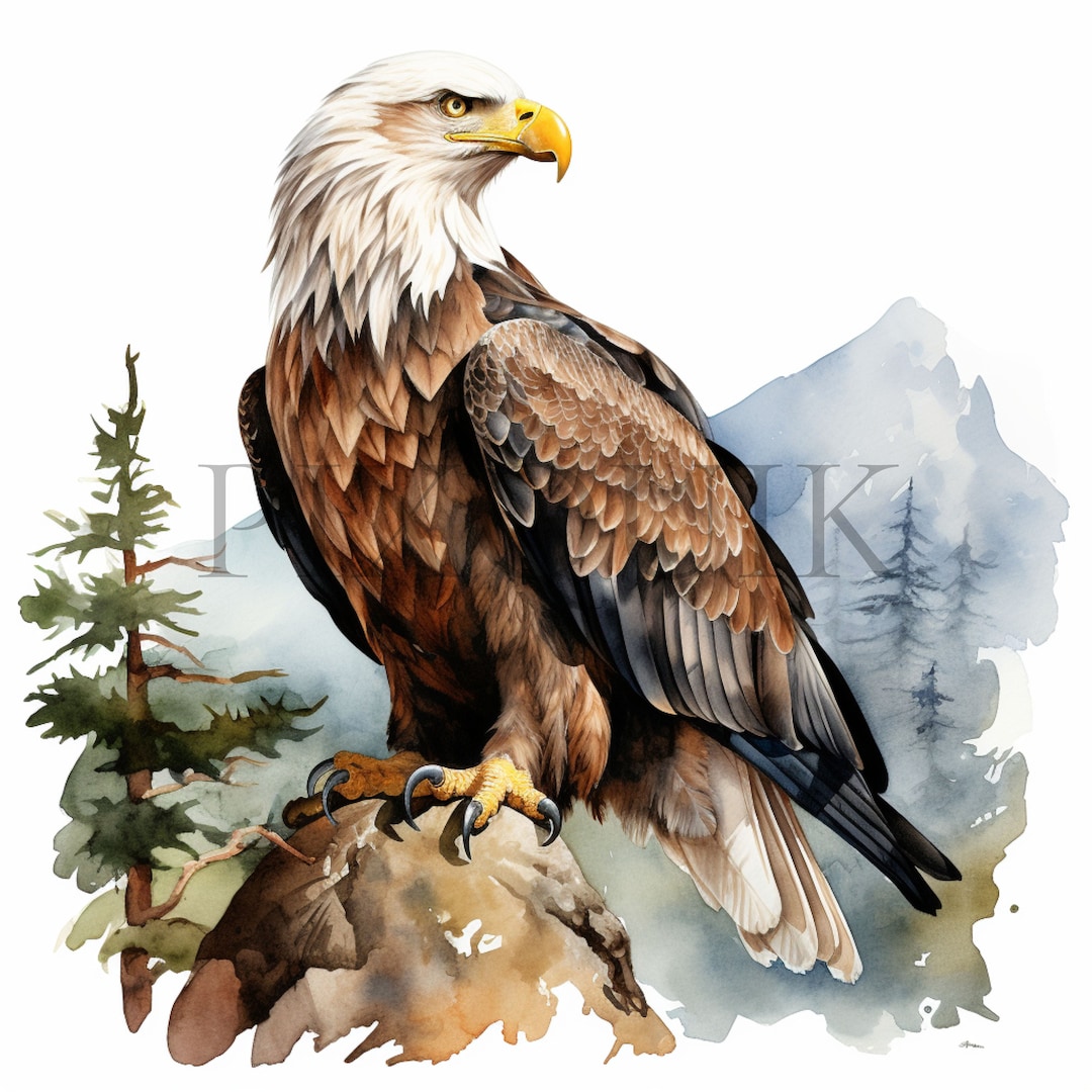 Watercolor Eagle Clipart | 10 High-quality Jpgs | Digital Download ...