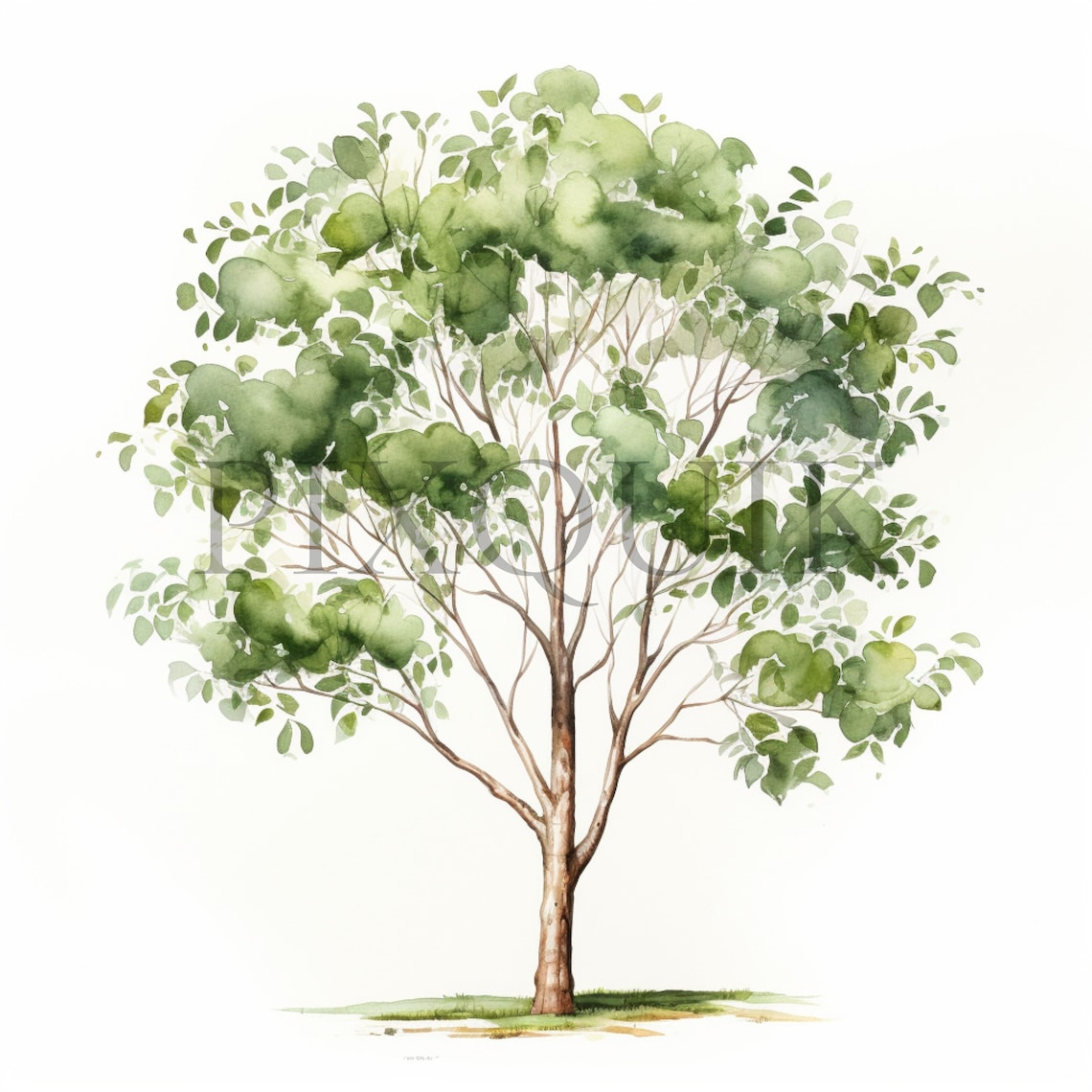 Gum Tree Clipart Tree Clipart 10 High Quality JPG Gum Tree Illustration ...