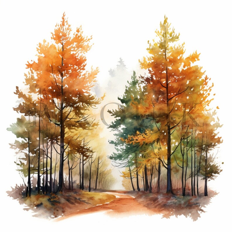 Autumn Forest Clipart 10 High Quality Jpgs Digital Download Forest ...
