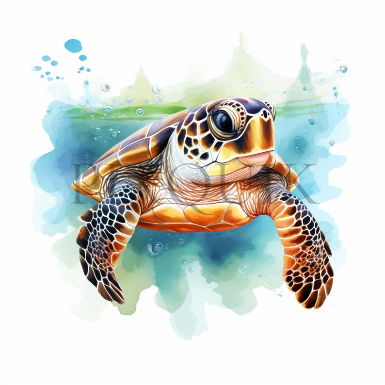 Watercolor Sea Turtle Clipart | High-quality Jpgs (digital Download) - Etsy