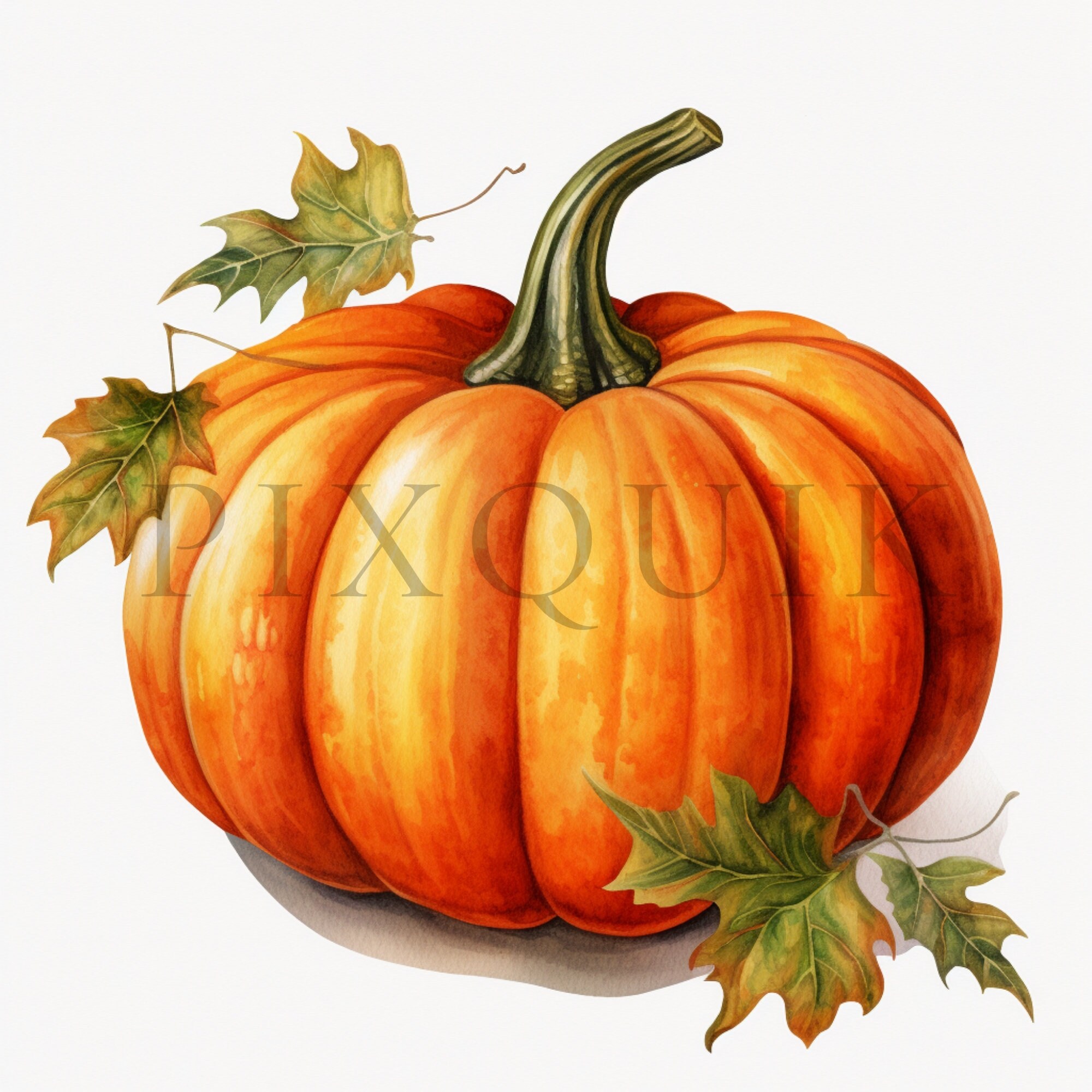 Autumn Pumpkin Clipart 10 High Quality Jpgs Instant Digital Download ...