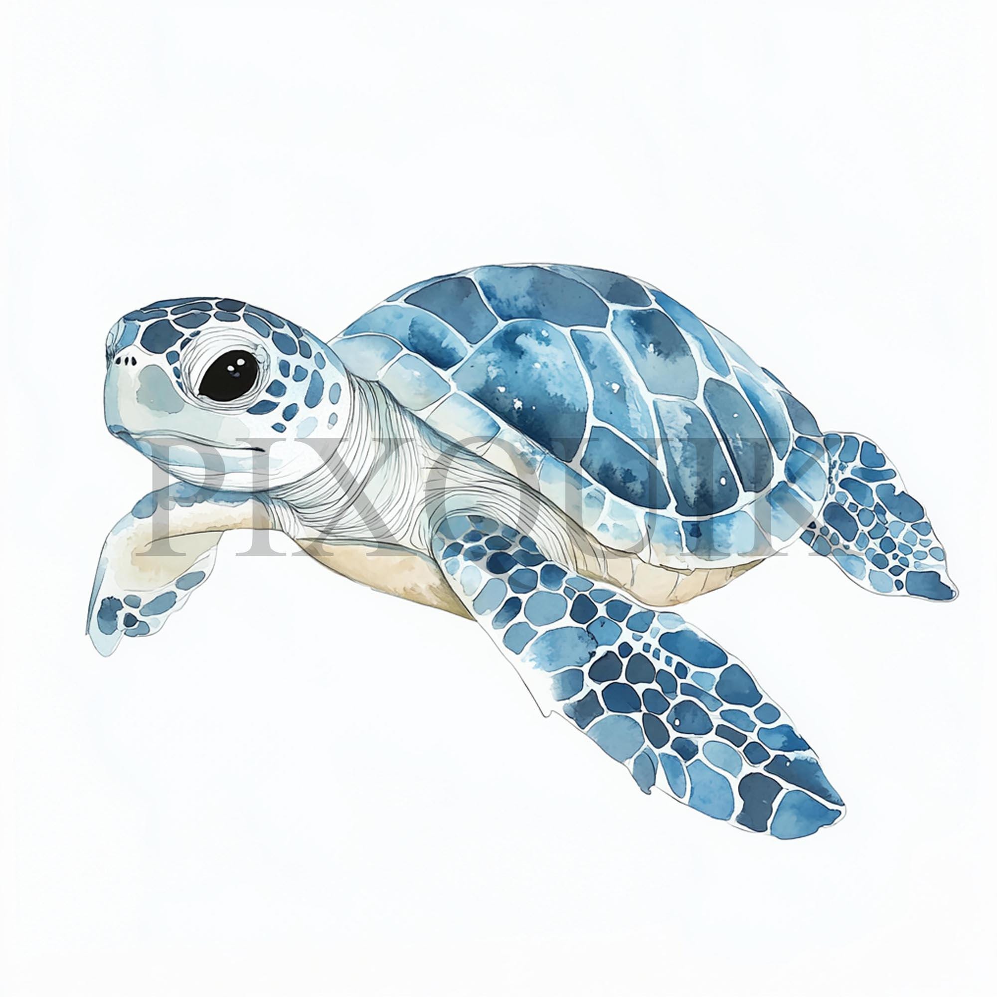 Watercolor Sea Turtle Clipart: Ocean Life Illustration (10 JPG & PNG ...
