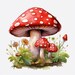 Mushroom Watercolor Clipart | Toadstool Jpgs (digital Download) - Etsy