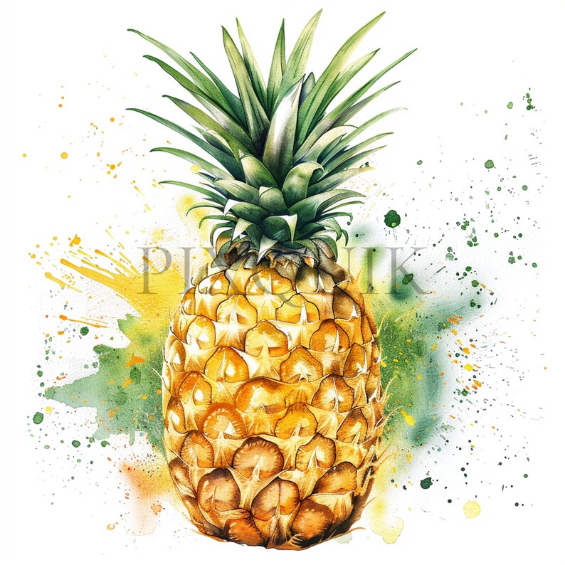 Watercolor Pineapple Clipart 10 High Quality Jpgs fruit Clipart ...