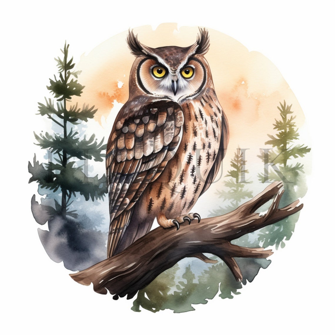Owl Clipart Set | Woodland Animal Jpgs (digital Download) - Etsy