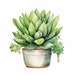 Cute House Plant Clipart | 10 High Quality Jpgs | Botanical Art ...