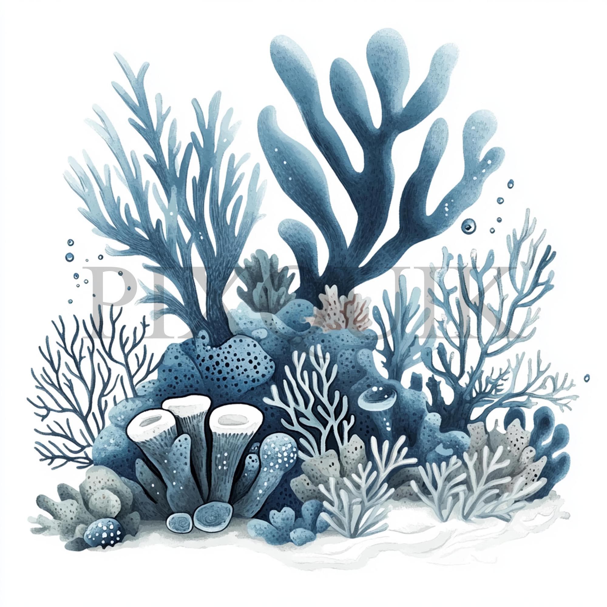 Watercolor Coral Reef Clipart: Marine Life Art (JPG & PNG Files) - Etsy