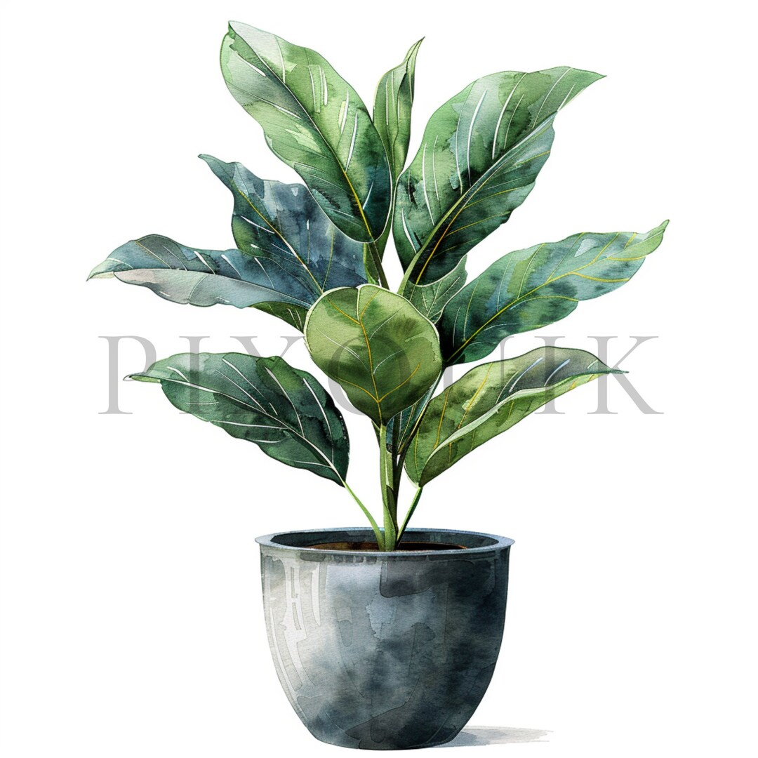 Potted Plant Clipart | 10 High Quality Jpgs | Instant Digital Download ...