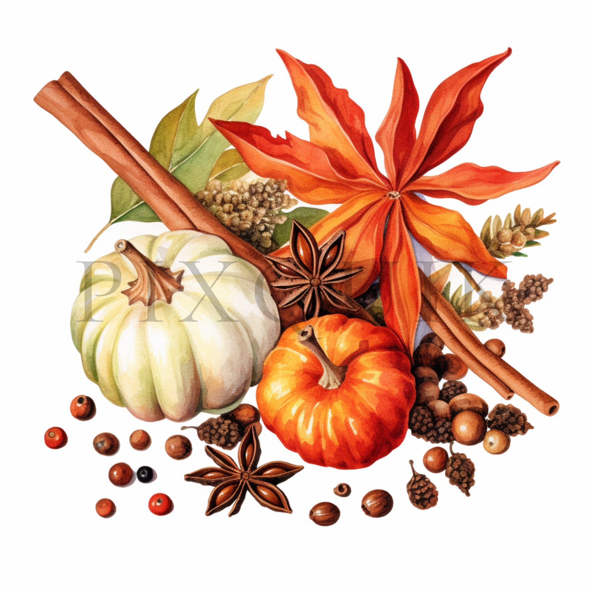 Autumn Spice Clipart | 10 High Quality Jpgs | Digital Download | Autumn ...