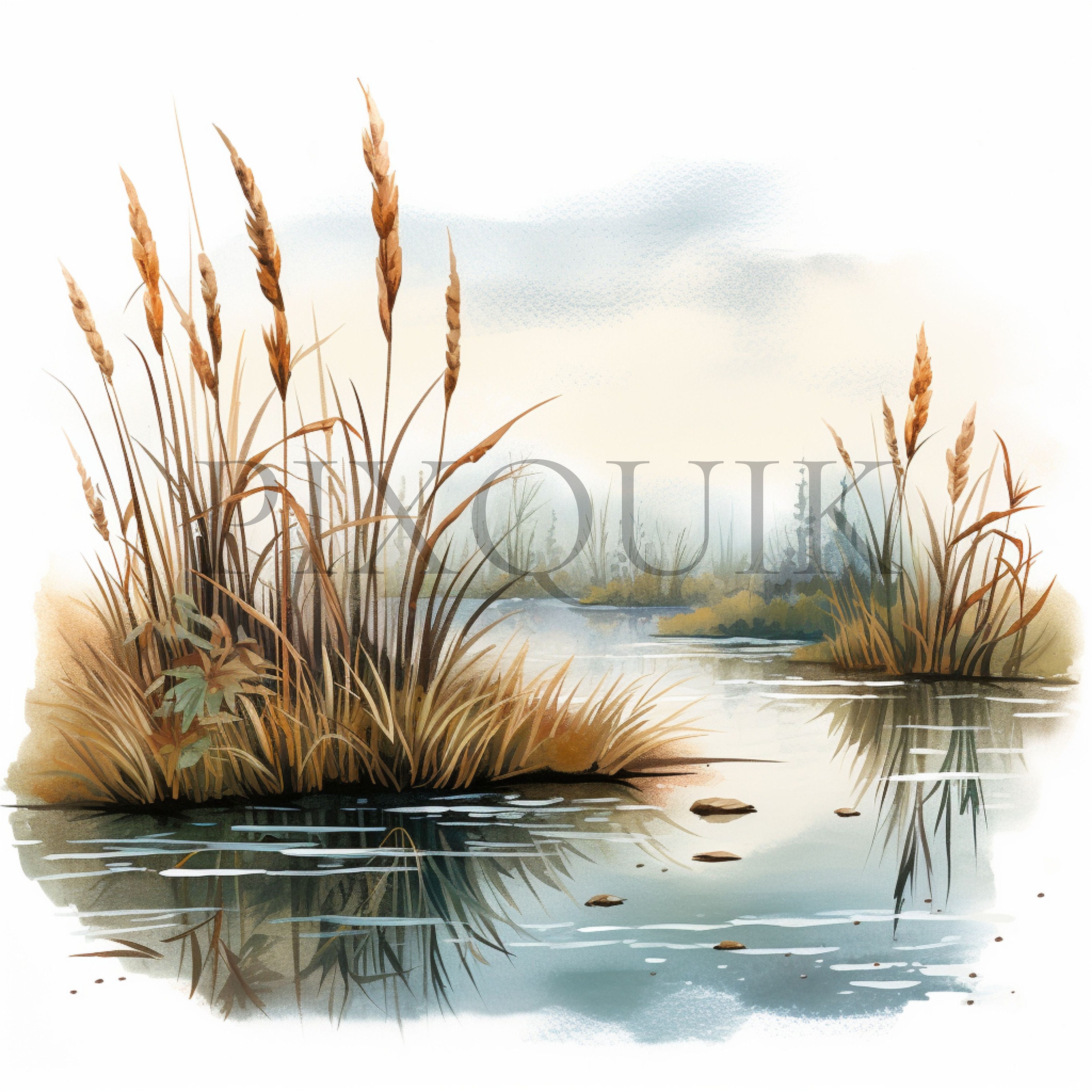 Cattails and Reeds in Water Pond Clipart 10 High Quality JPG commercial ...