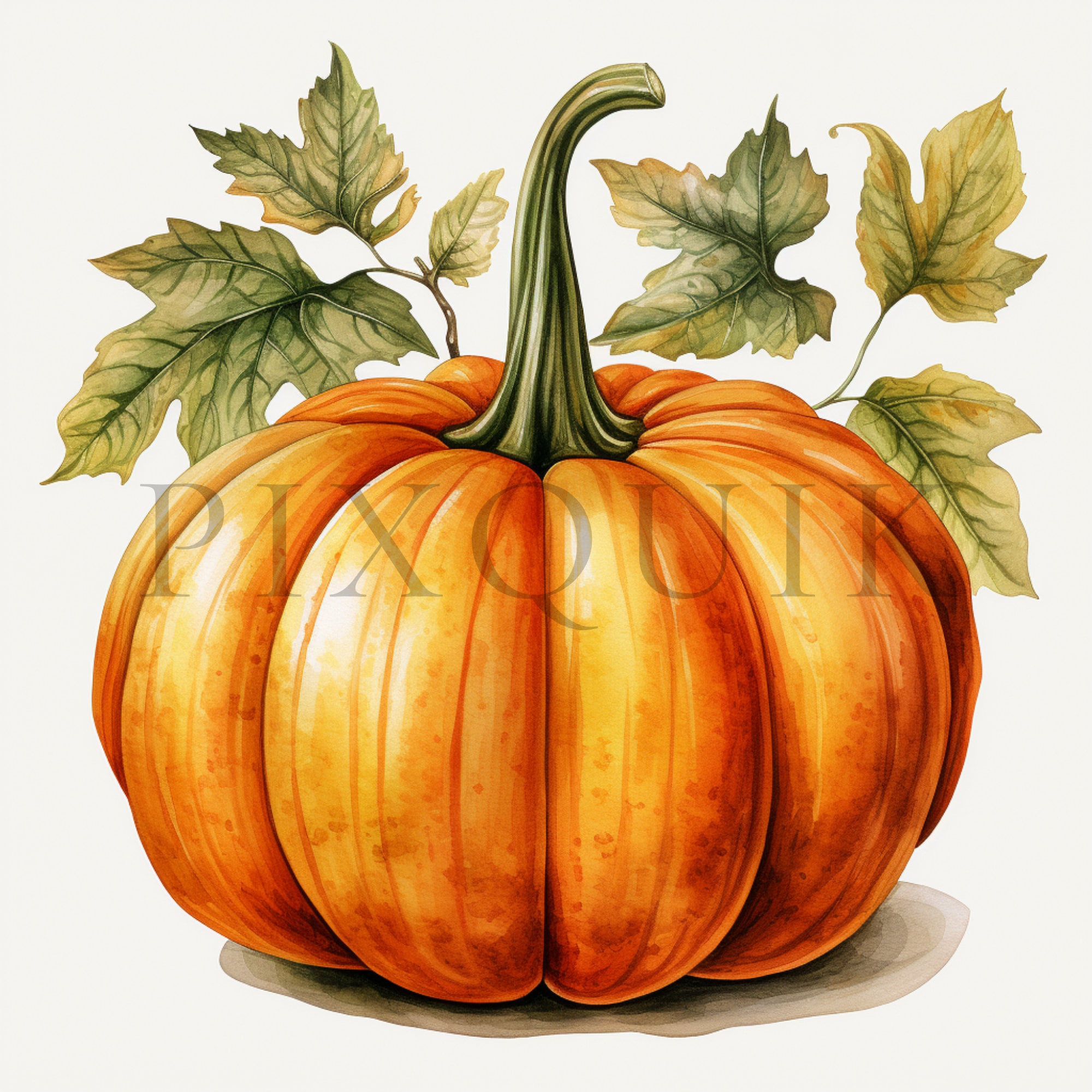 Pumpkin Clipart 10 High Quality Jpgs Digital Download Fall Autumn ...