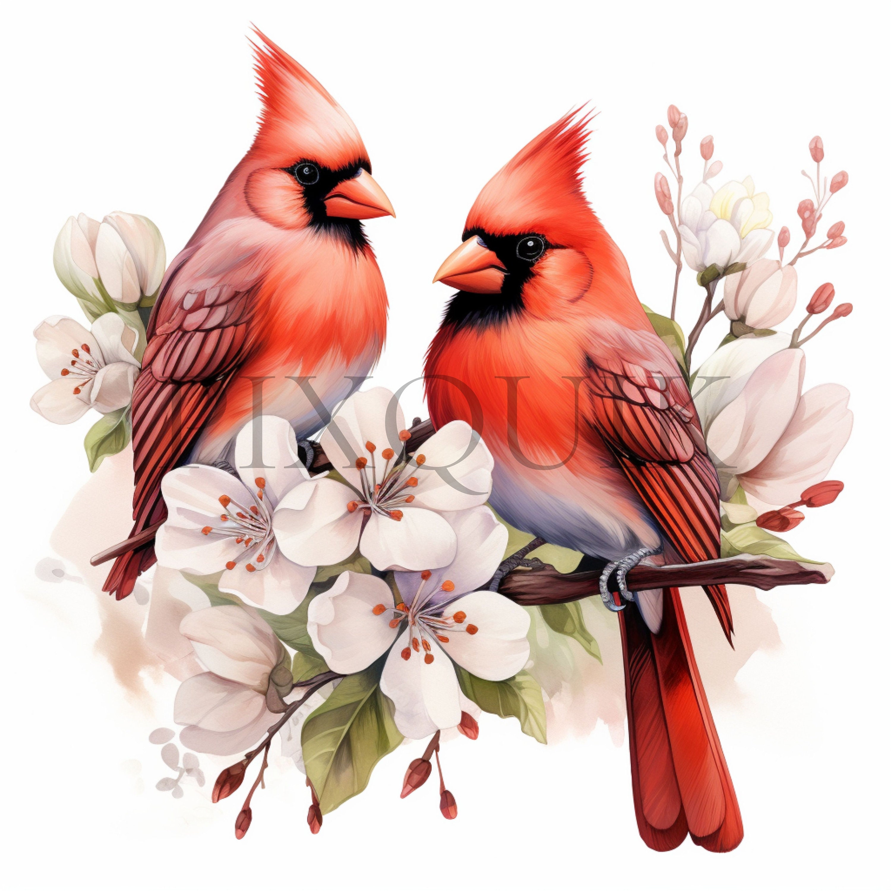 Cardinal Friends Flowers Clipart | 10 High Quality Jpgs | Commercial ...