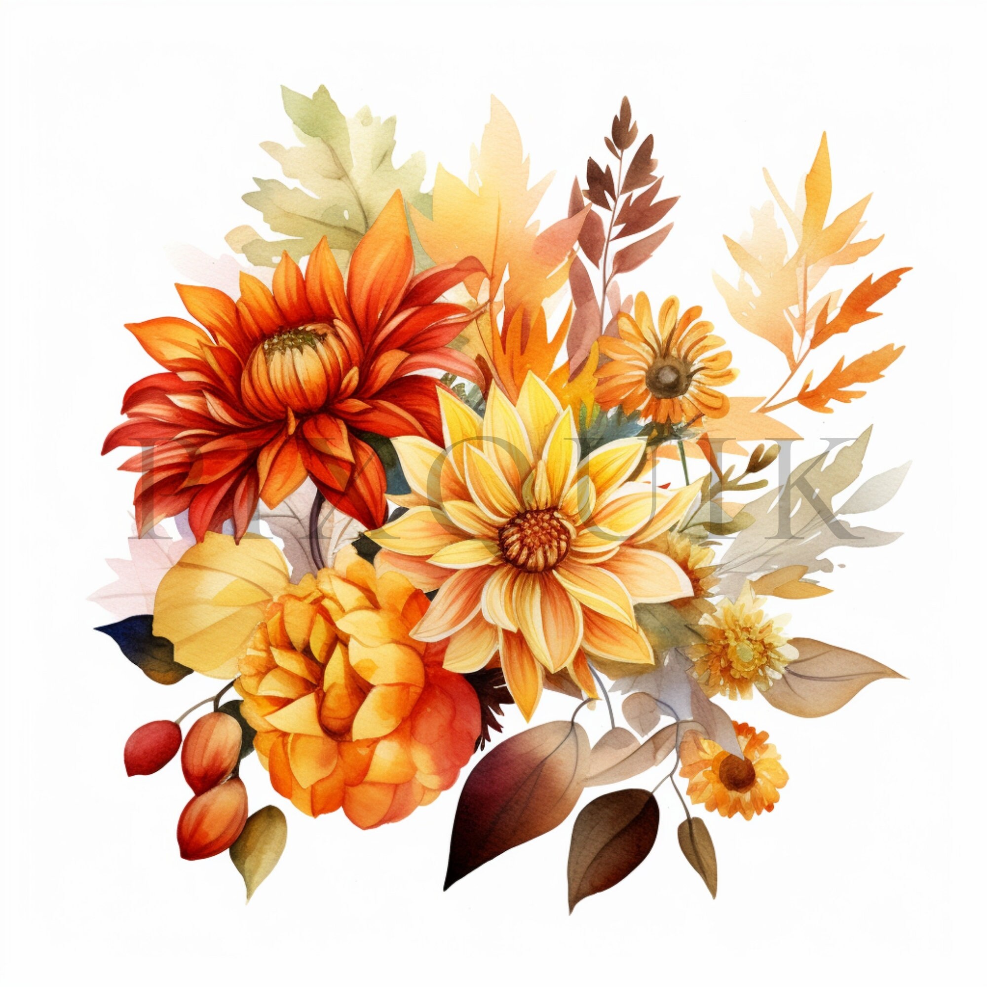 Autumn Floral Clipart | Fall Flowers, Botanical Art (digital Download ...