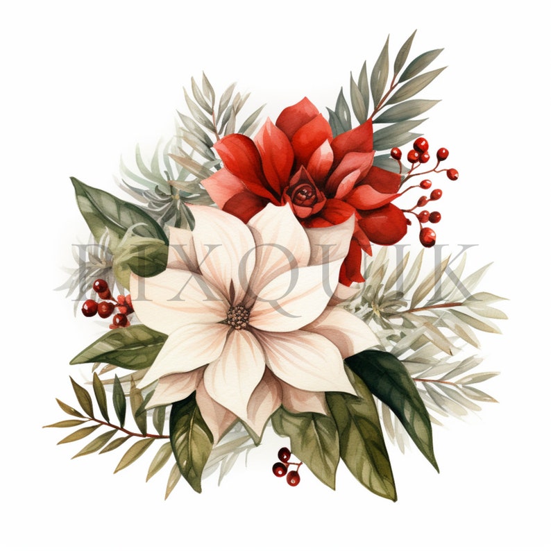 Holiday Poinsettia Clipart | Christmas Floral JPG (digital Download) - Etsy