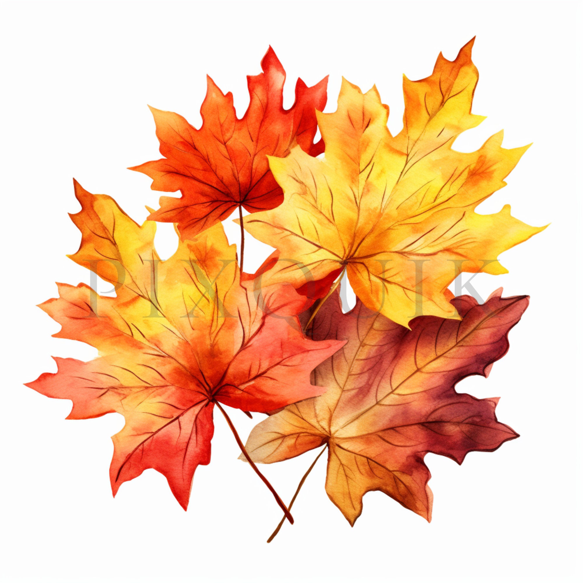 Autumn Leaves Clipart 10 High Quality Jpgs Digital Download Autumn ...
