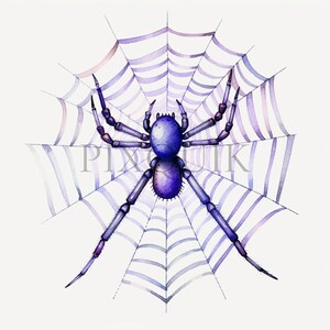 Watercolor Spiderweb Clipart | Halloween Graphics Bundle (digital ...