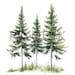 Watercolor Pine Tree Clipart: Nature Illustration (47 JPG Files) - Etsy