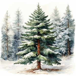 Snowy Pine Tree Clipart | 10 High Quality Jpgs | Digital Download ...