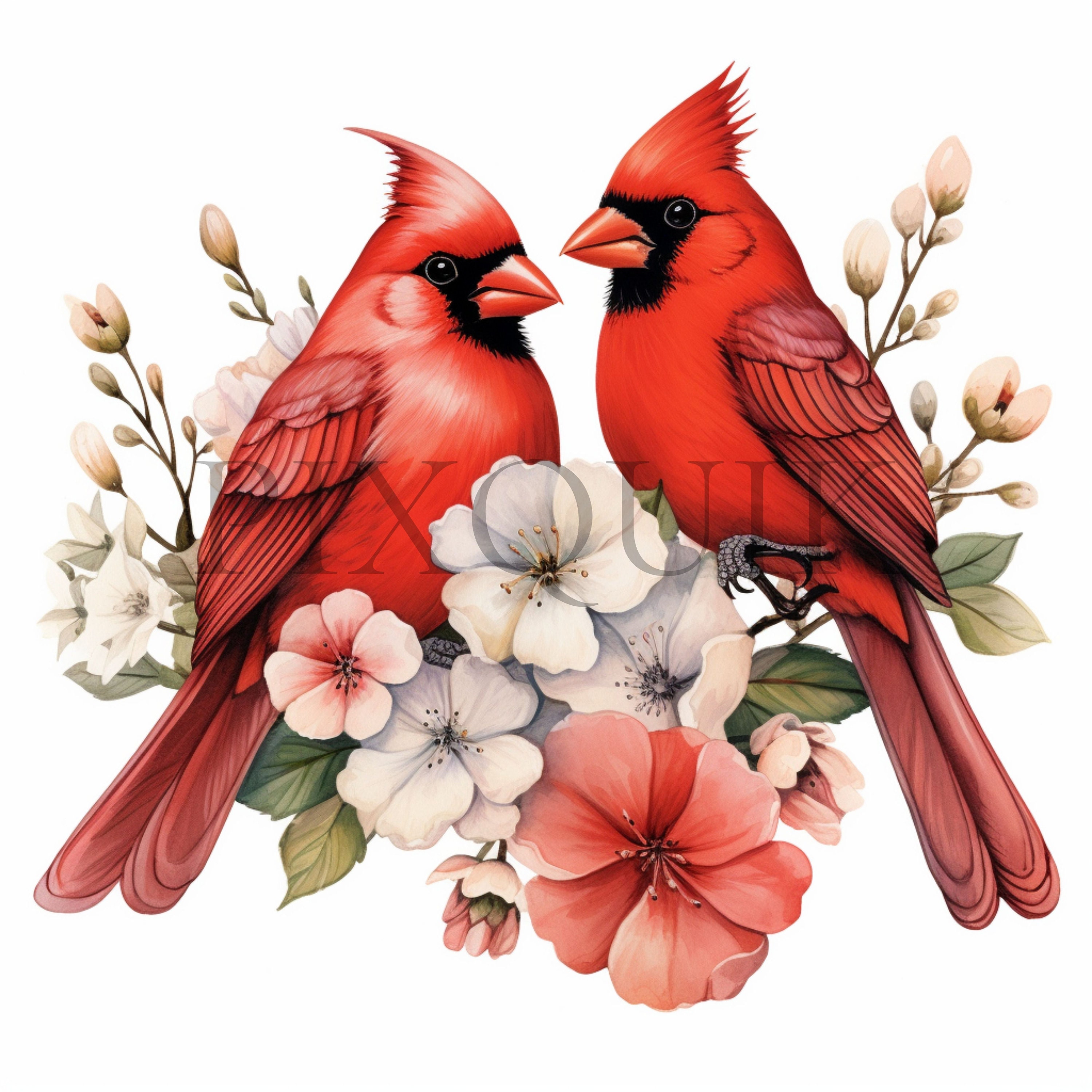 Cardinal Friends Flowers Clipart 10 High Quality Jpgs Commercial Use ...