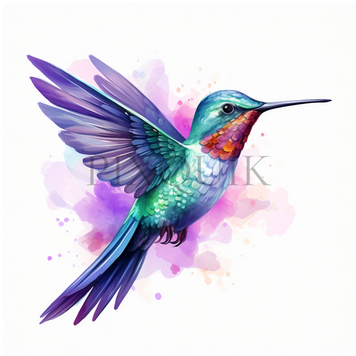 Watercolor Hummingbird Clipart Bundle 10 High Quality Jpgs Bird Clipart ...