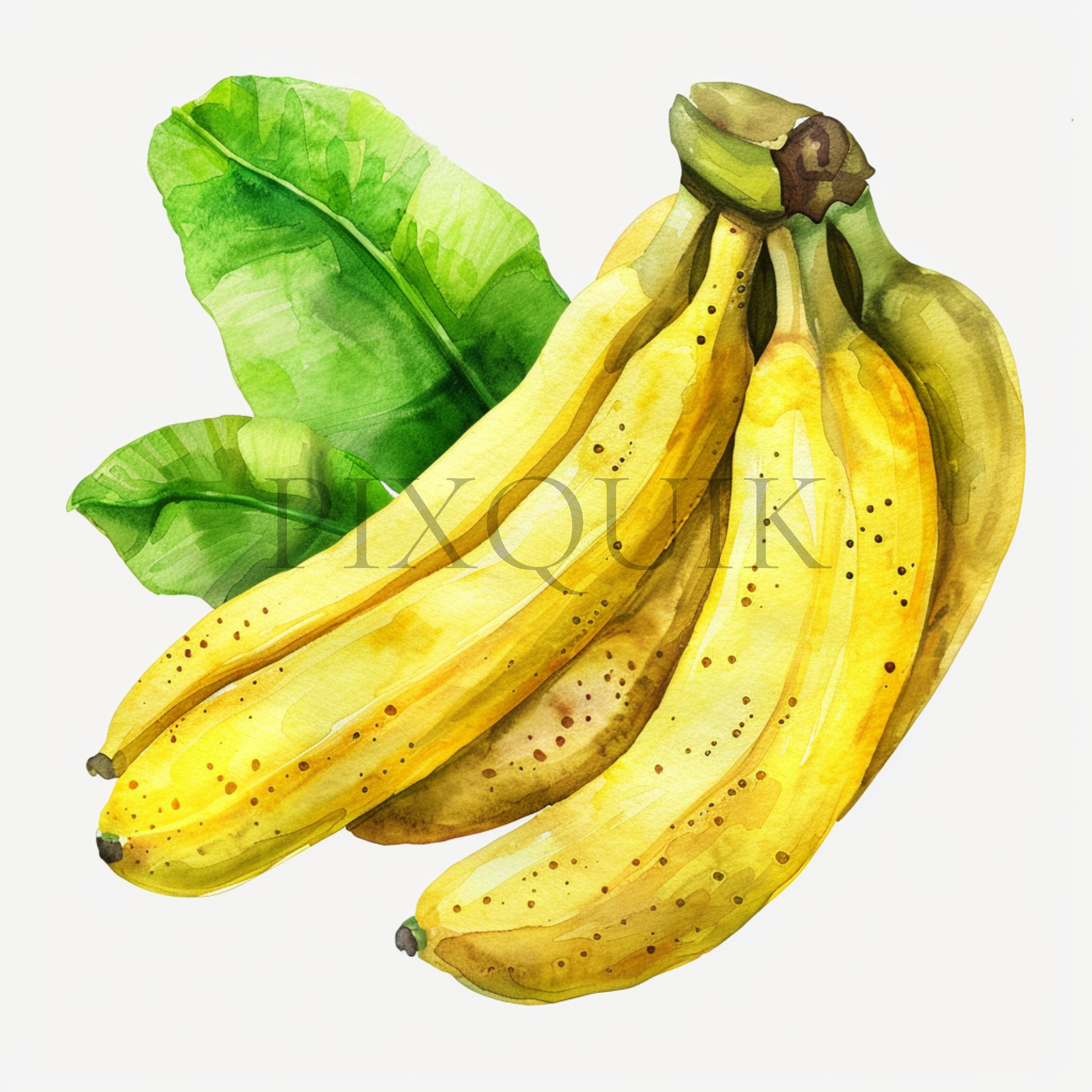 Watercolor Banana Clipart | Tropical Fruit Illustration (commercial Use ...