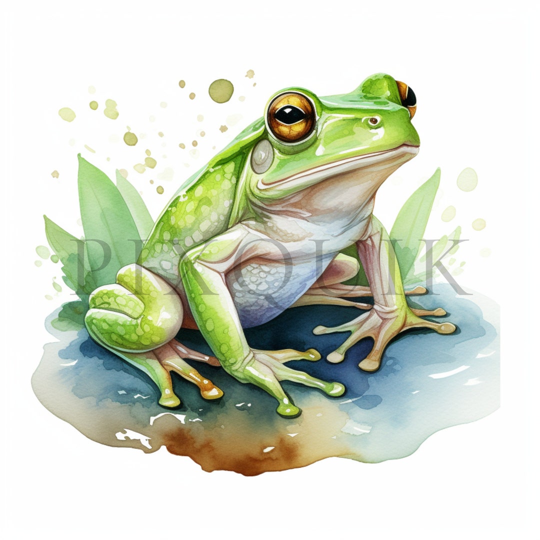 Watercolor Frog Clipart | Animal Scrapbook Images (digital Download) - Etsy