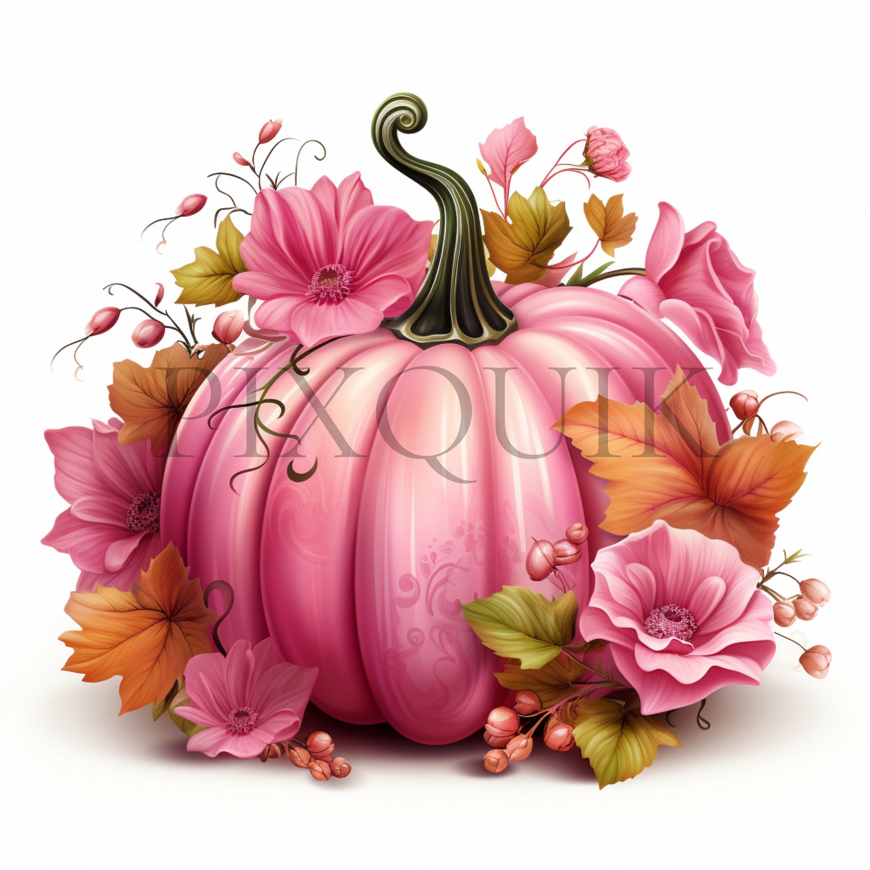 Pink Pumpkins Clipart 10 High Quality JPG Pink Pumpkins Pumpkin Vector ...