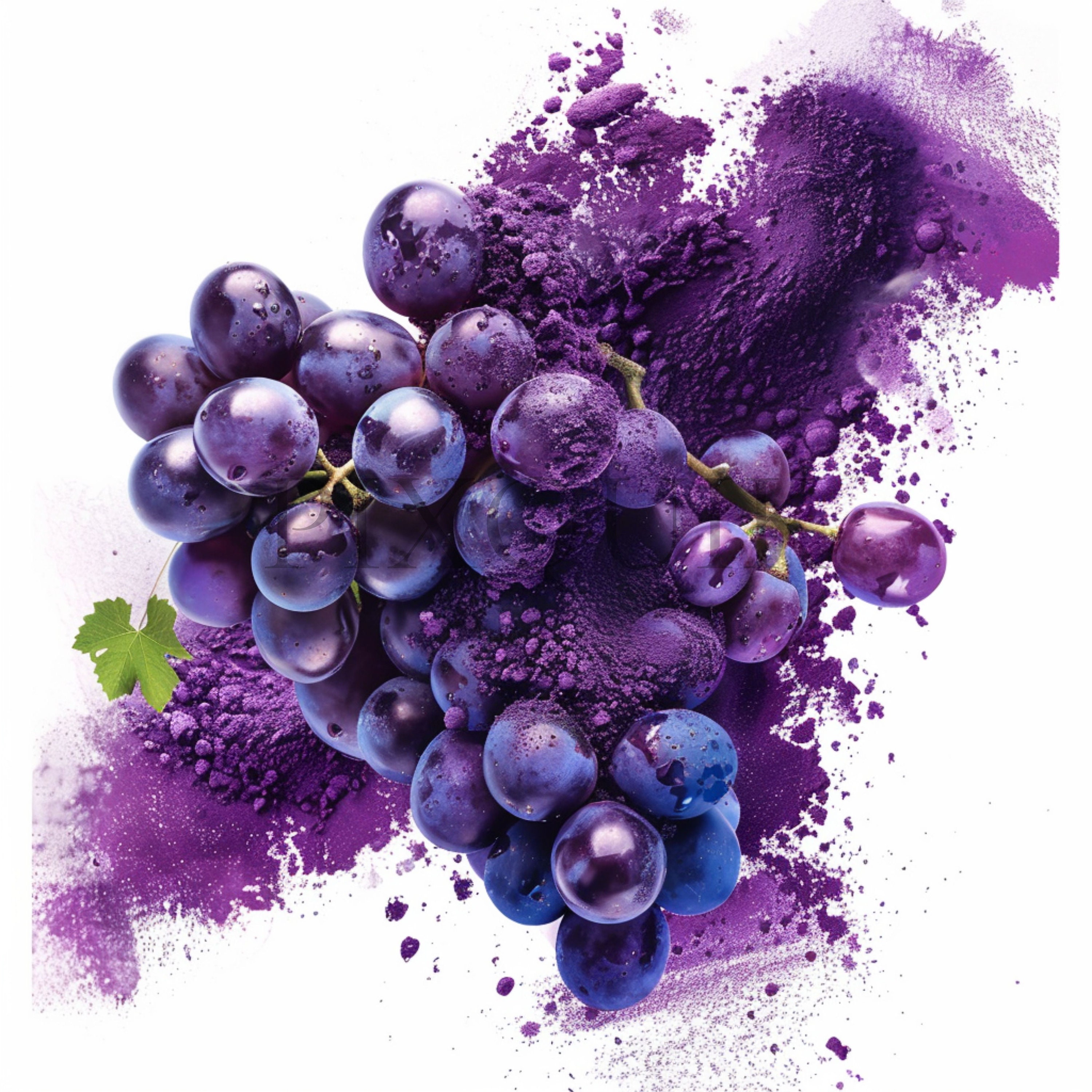 Watercolor Grapes Clipart | 10 Jpgs, Commercial Use (instant Download ...