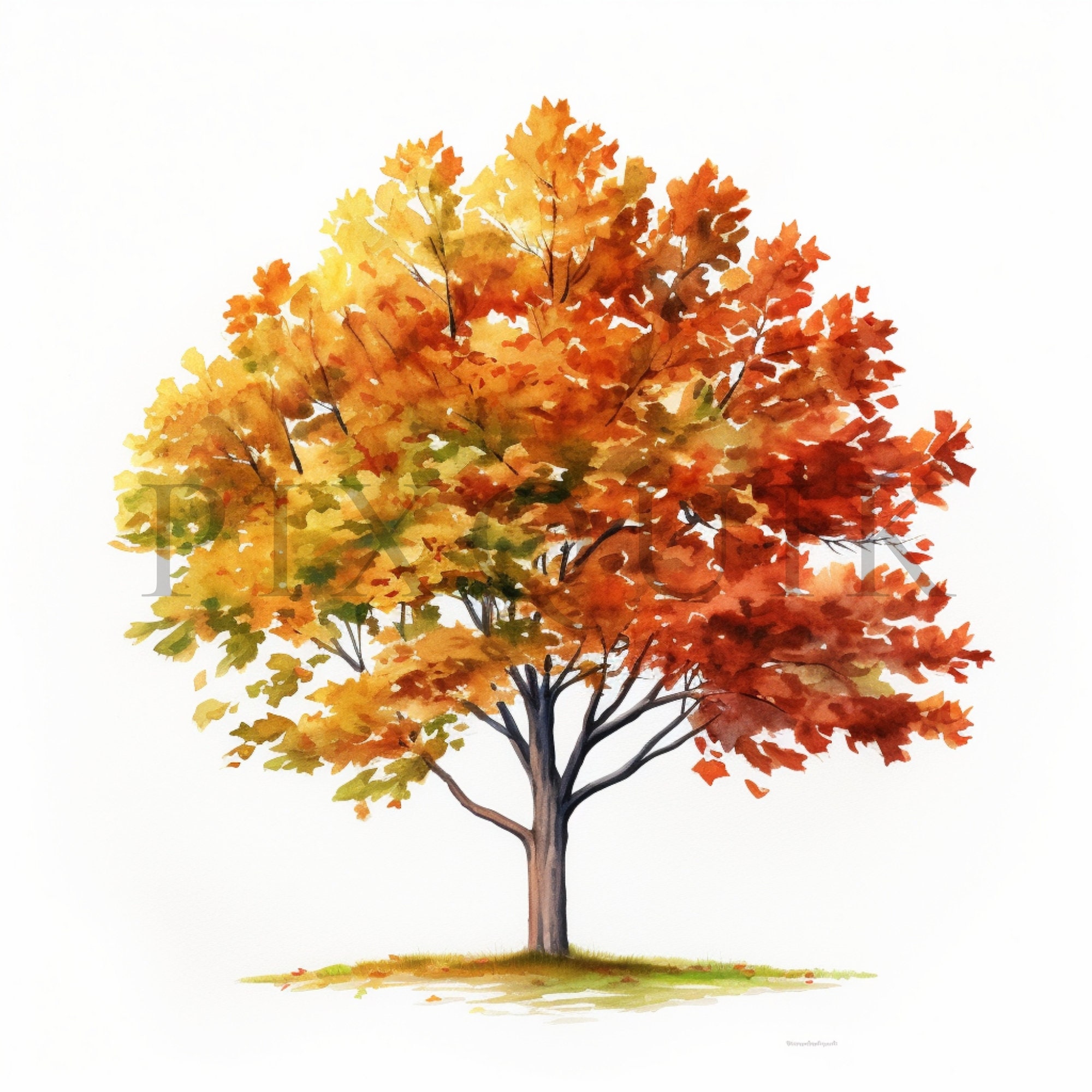 Autumn Maple Tree Clipart | Fall Wall Art (digital Download) - Etsy