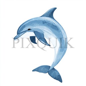 Dolphin Clipart | 10 Jpg's and PNG Files | Card Making | Digital Paper ...