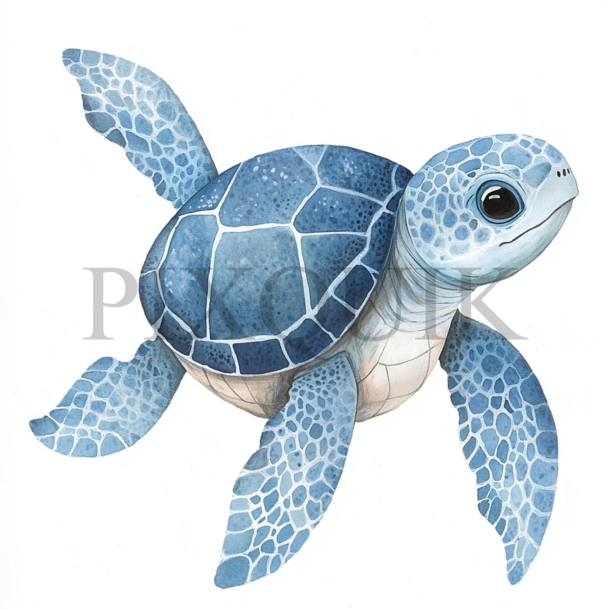 Watercolor Sea Turtle Clipart: Ocean Life Illustration (10 JPG & PNG ...