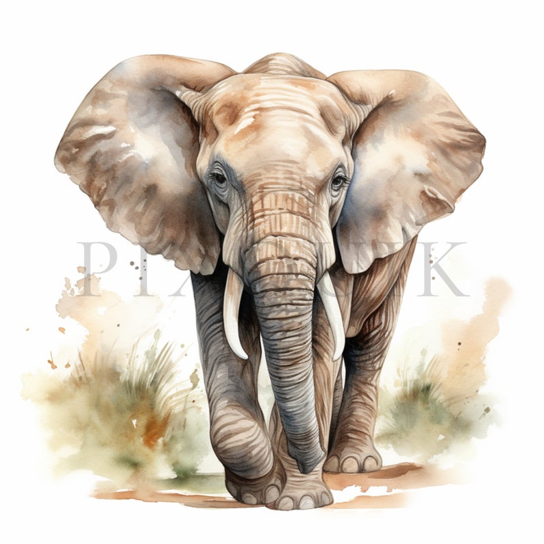 Watercolor Elephant Clipart 10 High Quality Jpgs Digital Download ...