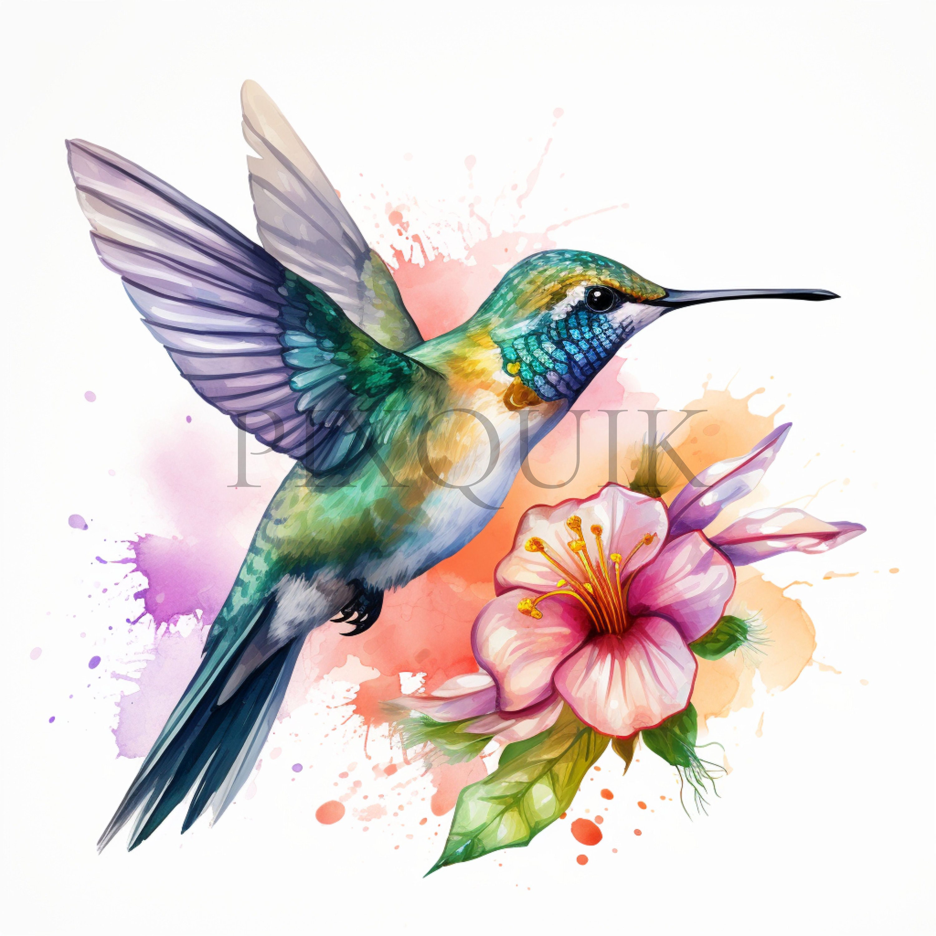 Watercolor Hummingbird Clipart Bundle 10 High Quality Jpgs Bird Clipart ...