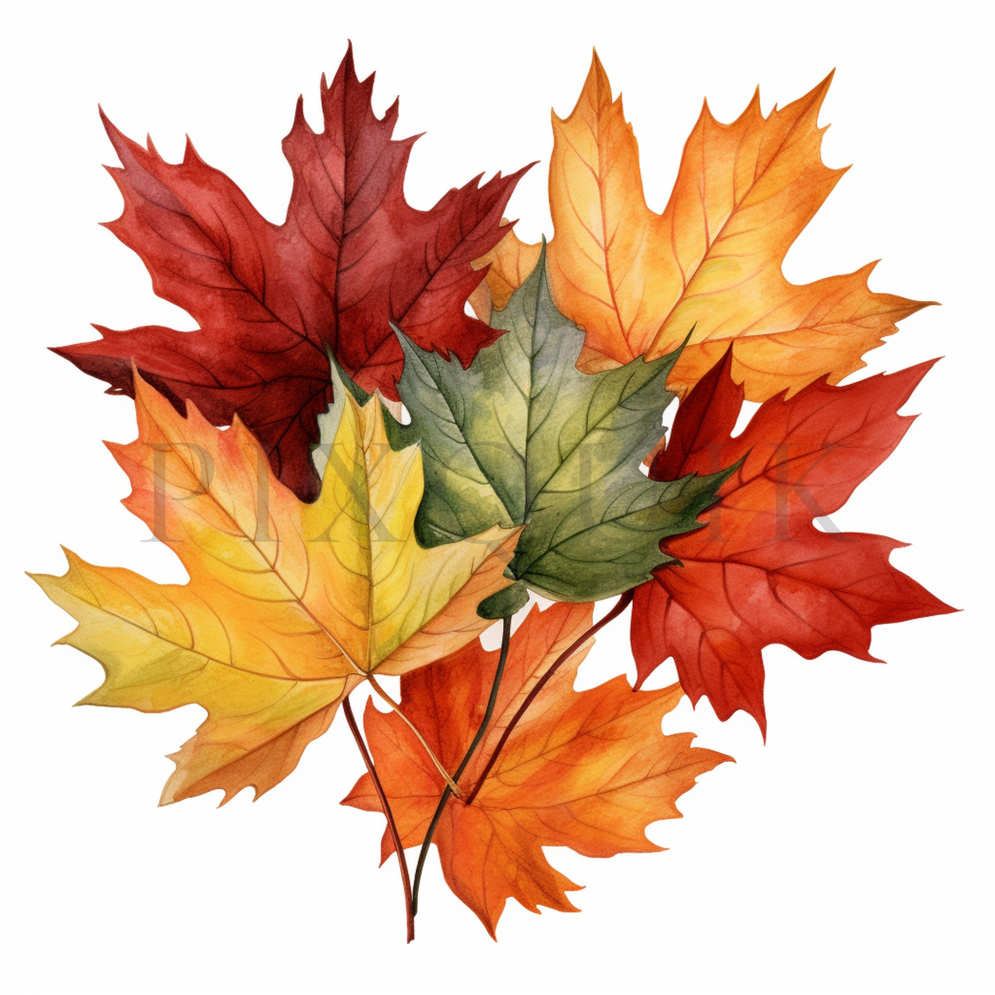 Autumn Leaves Clipart 10 High Quality Jpgs Digital Download Autumn ...